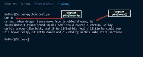 How To Read A Text File Using Python Tkinter Python Guides