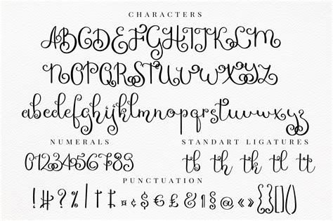 Chiquita Curly Script Font 362871 Script Font Bundles