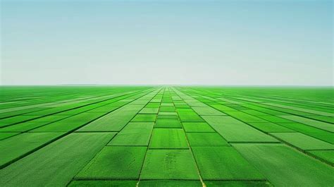 Free Endless Green Fields Image Green Fields Agriculture Download