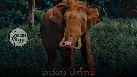 Gajaga Wannama ගජගා වන්නම Sankalpani Kasturisinghe Ft Udula Perera