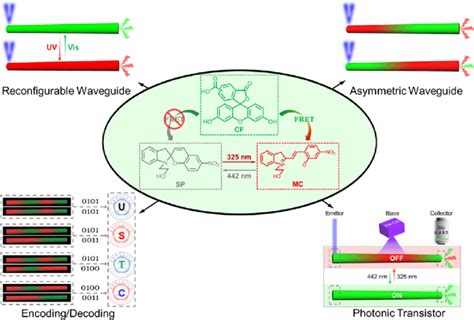 Schematic Mechanism And Functions Of The Programmable Polymeric