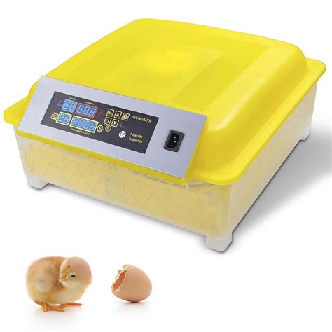 Egg incubator