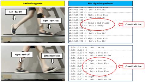 Sensors Free Full Text Real Time Gait Phase Detection Using