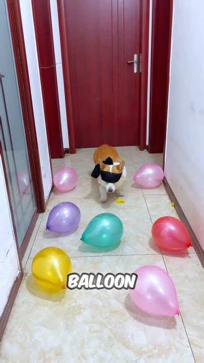 Tommy Burst All Balloons With Blindfold 😮 ~miniwood Toy Wood Working