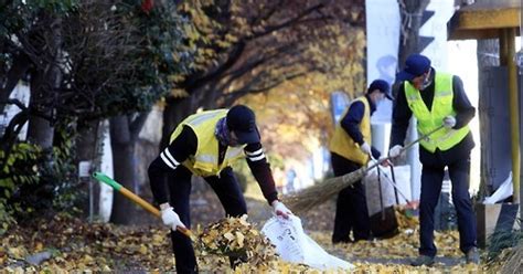 퇴비로 쓰일 낙엽수거