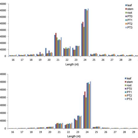 Length Distribution Of Small Rna Sequences Identified In All The Small