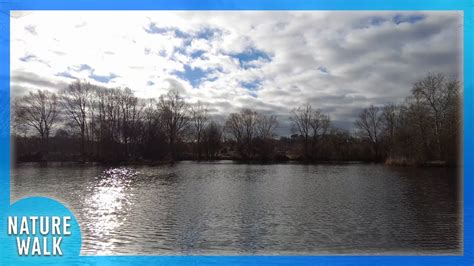 This Gorgeous Day Is Perfect For A Relaxing Walk By The Lake Nature