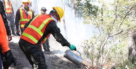 FFAA se especializan en prevención y manejo de incendios forestales