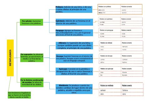 Mapa Conceptual De Los Metaplasmos Definiciones Reglas Y Ejemplos Docx