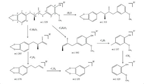 Proposed Mainly Ms Ms Fragmentation Pathways For Anwulignan Download Scientific Diagram