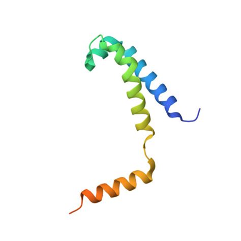 Rcsb Pdb 1xwr Crystal Structure Of The Coliphage Lambda
