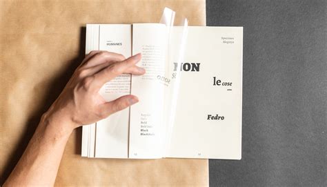 Vox Type Classification Editorial Design On Behance