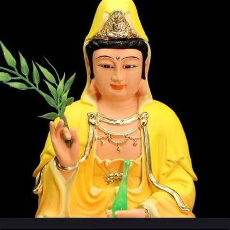 把树木啄得千疮百孔啄木鸟到底是树木医生还是树木杀手 科普中国网