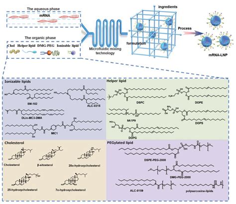 Approaches To The Design Of Lipid Based Nanocarriers