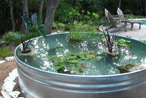 13 Peaceful DIY Container Water Garden Ideas For Container Gardeners