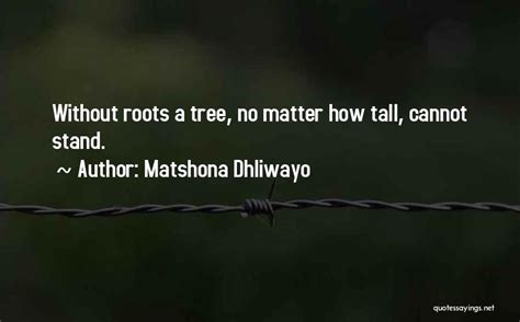 Top 100 Quotes Sayings About Tree Roots