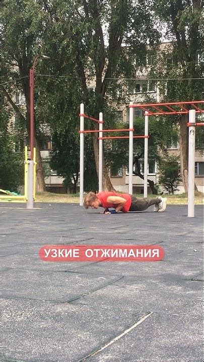 ТОП 5 упражнений на ТРИЦЕПС спорт Exercise Fitness Youtube