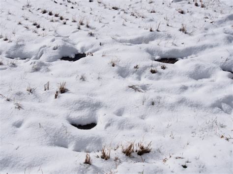 静岡県の「雪事情」とは？【雪とはほぼ無縁・豪雪地域もある？】 奈良まちジオグラフィック