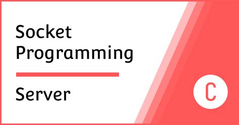 Twilio Text Messages With Flutter 🚀 By Yash Paneliya Level Up Coding