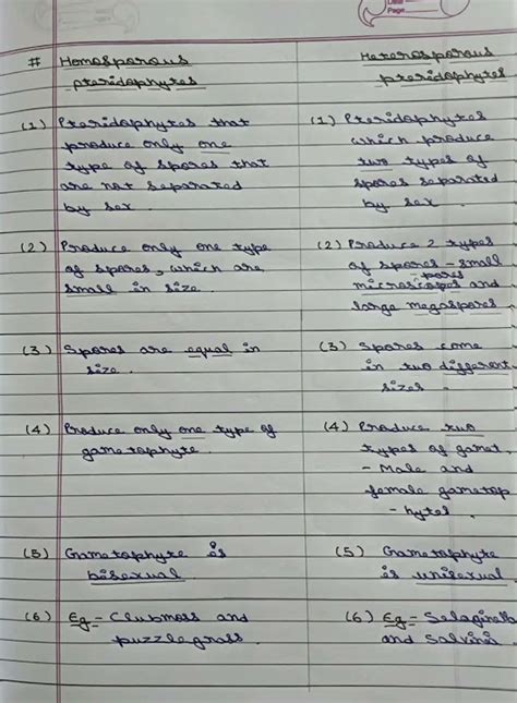 Difference Between Homosporous And Heterosporous Pteridophytes 😊👍