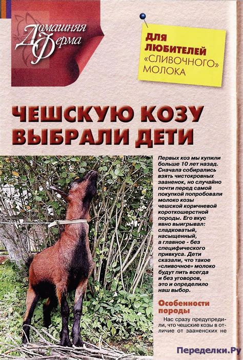 ПРИУСАДЕБНОЕ ХОЗЯЙСТВО 12 ДЕКАБРЬ 2019 * Переделки.РуПеределки.Ру