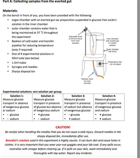 Solved In This Experiment What Was The Purpose Of Chegg