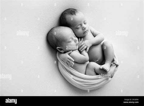 Tiny Newborn Twins Boys In White Cocoons On A White Background Stock