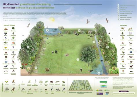 👇 Hanneke Schmeink