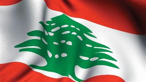 خبير علاقات دولية جوزيف عون الأوفر حظا بالفوز في الانتخابات اللبنانية