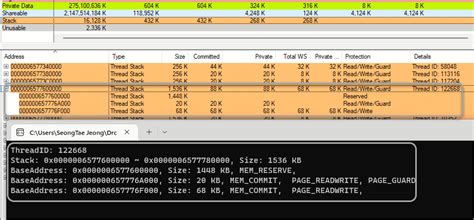 framework 2073 c vmmap처럼 스택 메모리의 reserve guard commit 상태 출력
