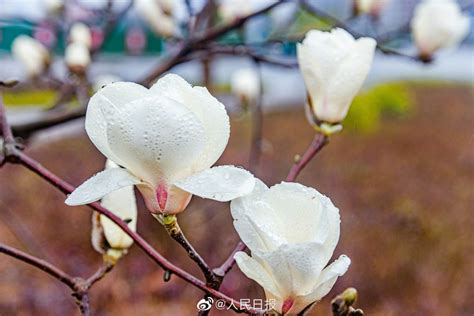【8点见】女子存5万被要求提供收入证明新闻频道央视网