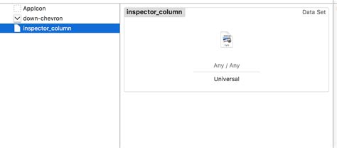 Macos Xcode Asset Catalog Cant Use Tiff Files Stack Overflow