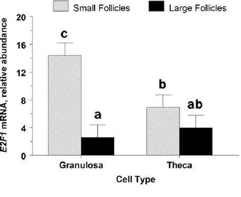 Figure From Regulation Of The Transcription Factor E F Mrna In