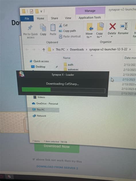 Synapse Not Opening Rrazer