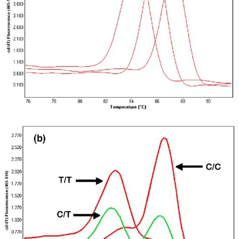 T Plex Real Time Pcr Assay For Fii G20210ga Genotyping A Download Scientific Diagram
