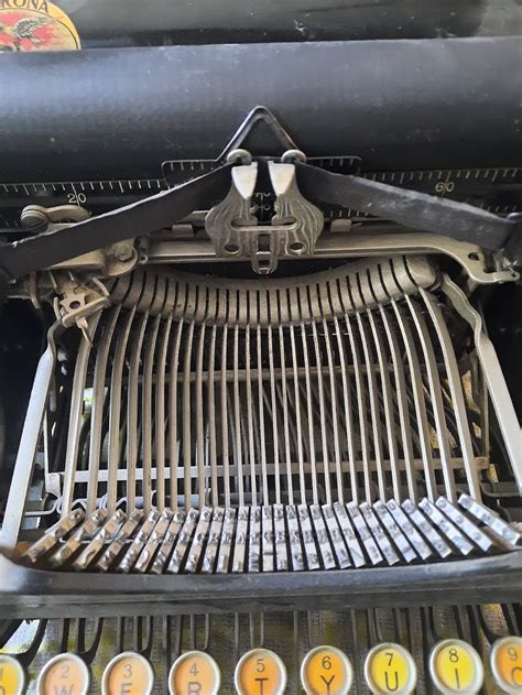 Platen Down The Hatches A Magnificent Beast