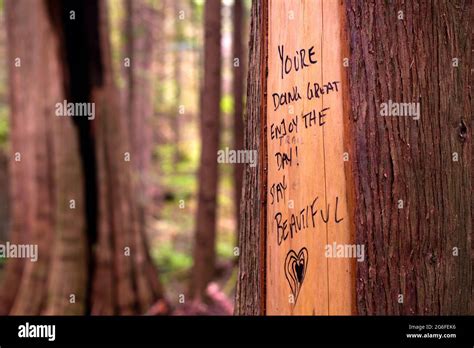 Tree Writing High Resolution Stock Photography And Images Alamy