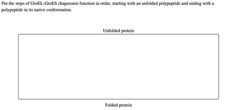 Solved Put The Steps Of GroEL GroES Chaperonin Function In Chegg