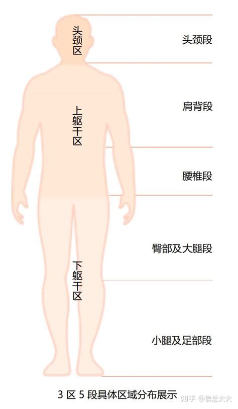 人体工程学寝具问答（三） 知乎