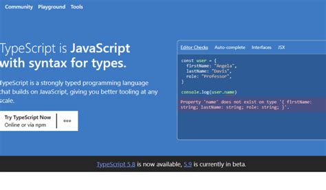 Top 15 Web Application Languages To Use In 2025