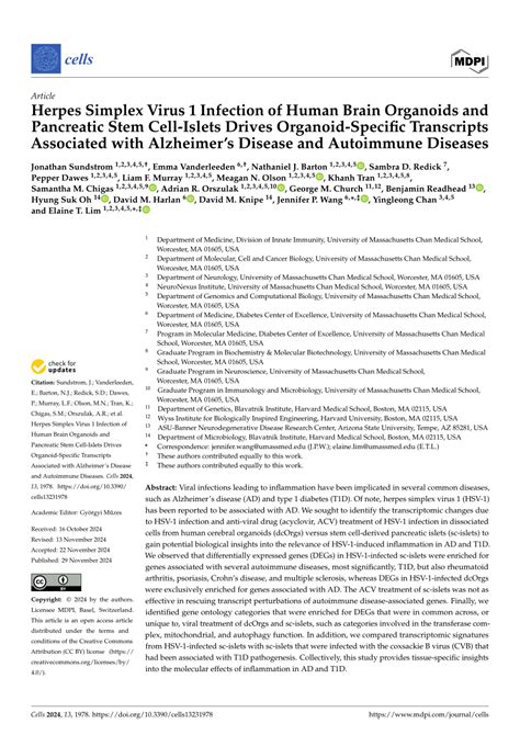 Pdf Herpes Simplex Virus 1 Infection Of Human Brain Organoids And