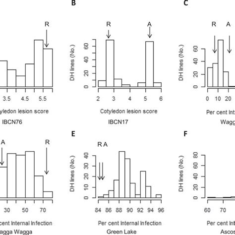 Partial Genetic Linkage Maps Of Chromosomes A03 A07 And C04 Of B