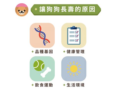 世界最長壽狗狗｜最高紀錄31歲 萌寵宇宙pet Universe