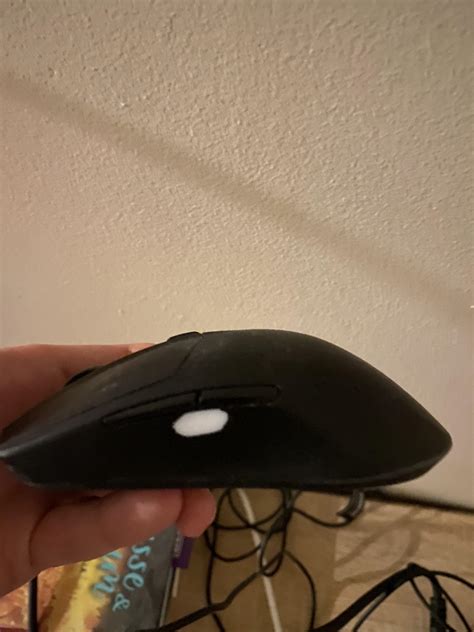 Basically Every Mouse After Few Months Is There Something Wrong With