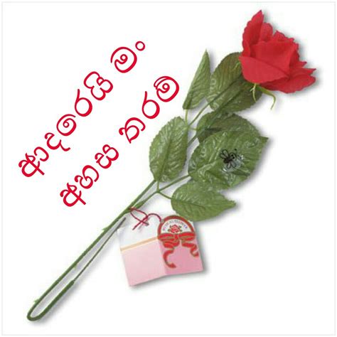 ආදරෙයි මං අහස තරම්
