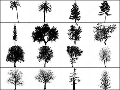 Tree Brush PS Brushes In Abr Format Free And Easy Download Unlimit Id 39838