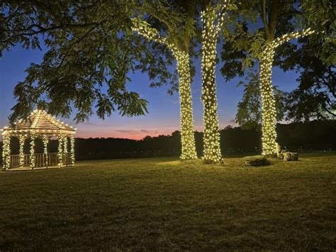 Stunning Tree Trunk Wraps For Medium Trees Lights Around