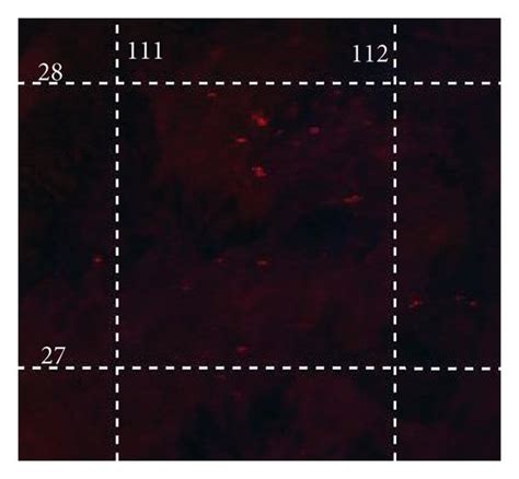 The Virr Local Area Scan Image That Contains This Hotspot A The Download Scientific Diagram