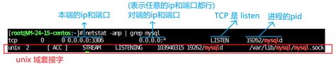 快速上手 linux环境配置 基本指令与项目部署要点 linux系统基本项目 csdn博客