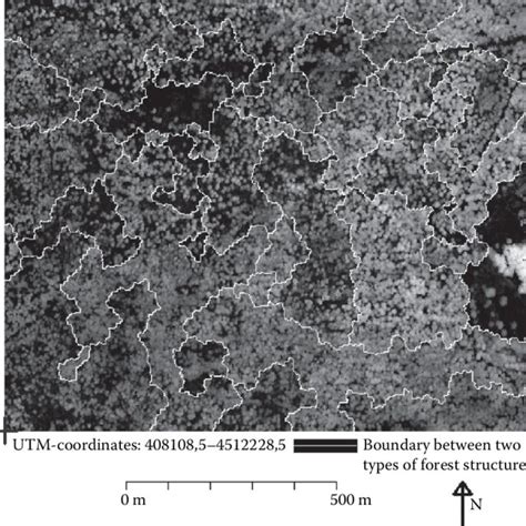 1 Lidar Image Of The Study Area Showing The Limits Of The Forest
